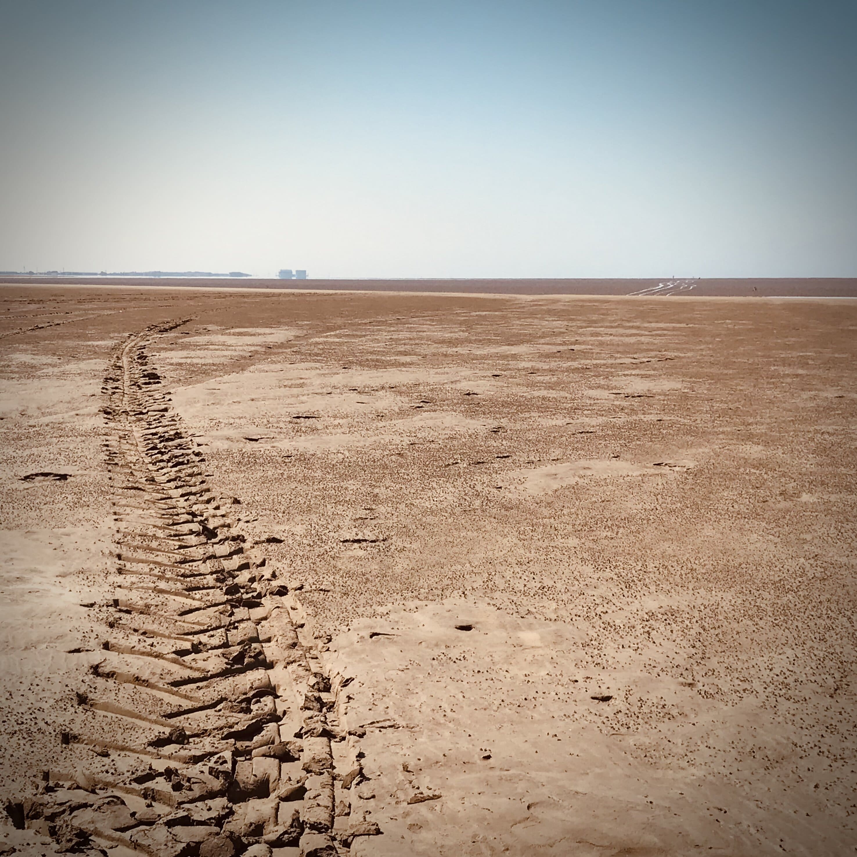 Anne Waggot Knott – Bibliotreks Part 3 – Artful Ways