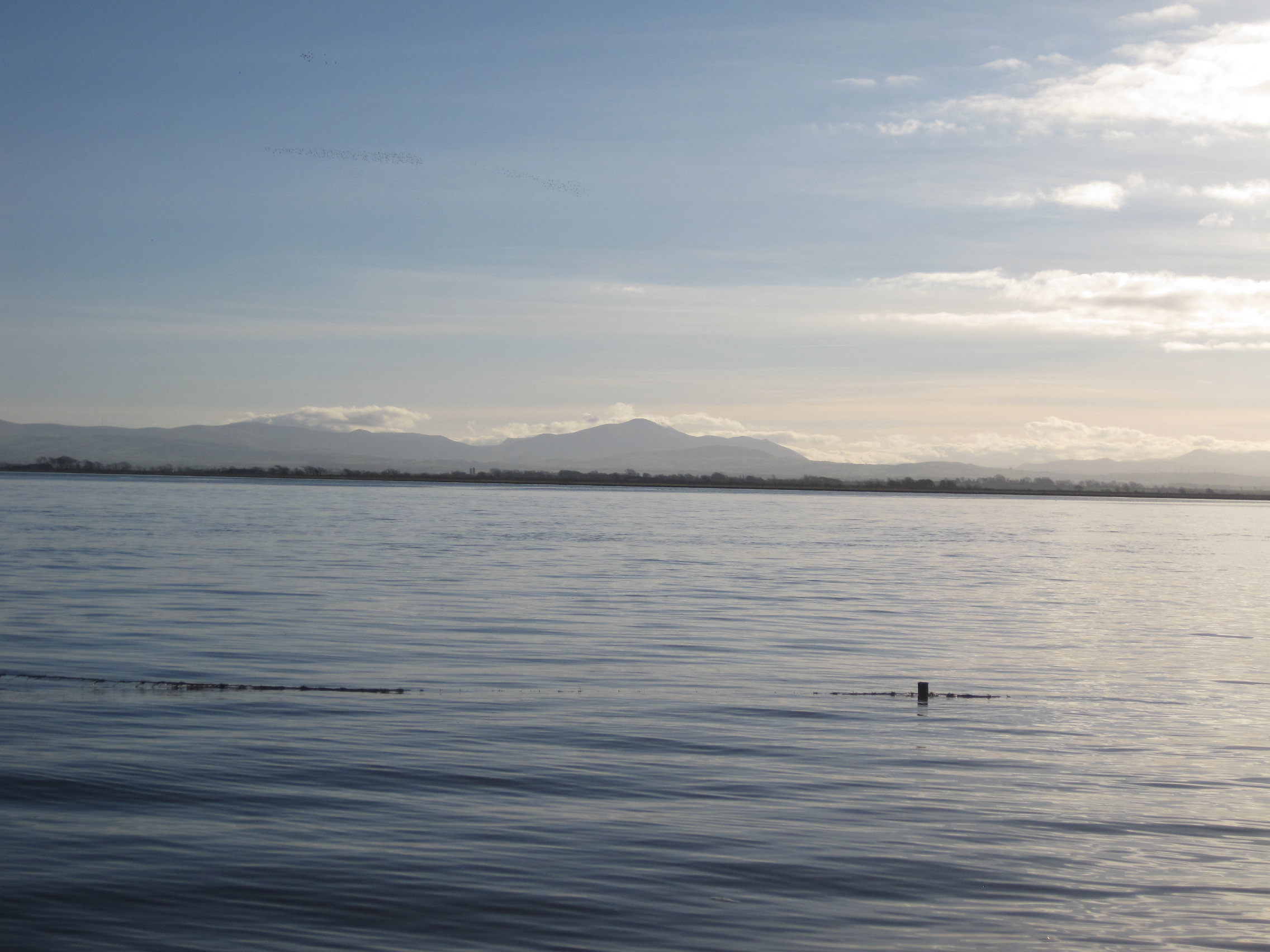 An Artful Walk at Grune Point, Moricambe Bay – Artful Ways